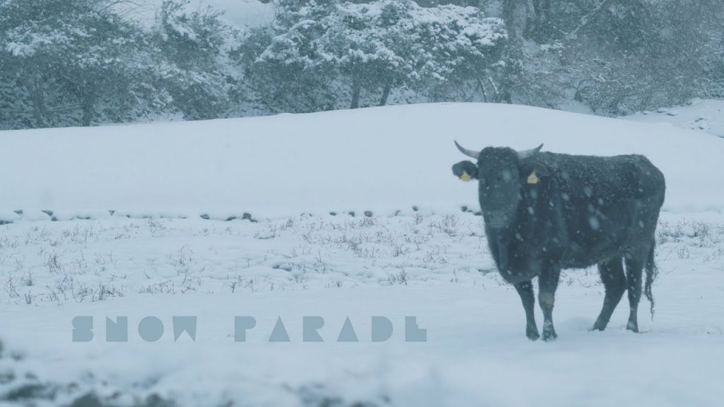 【Views】『SNOW PARADE』2分45秒〜雪と共に暮らす人間の過酷さとともに描かれる動物たちの姿 | VIDEO SALON.web ...