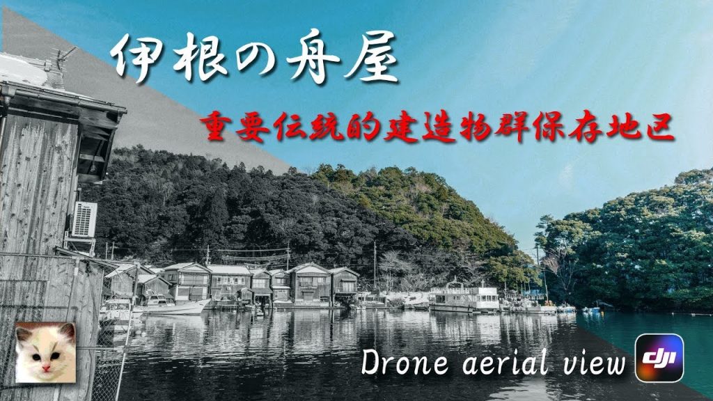 【Views】624『Cinematic Ine no Funaya』3分11秒〜歴史的建造物を今に残す「伊根の舟屋」の海岸線を空からスケッチ ...