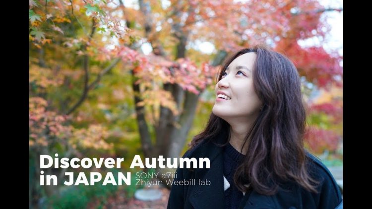 【Views】672『Discover Autumn in Japan』59秒〜日本の季節の美しさをギュッと1分におさめたディスカバームービー ...