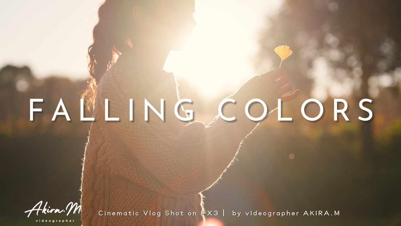 【Views】3031『Falling Colors』2分58秒 | VIDEO SALON.web | 映像制作・動画編集のための月刊誌 ...